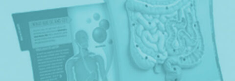 OneWorld | Custom Medical Demonstration Training Tools