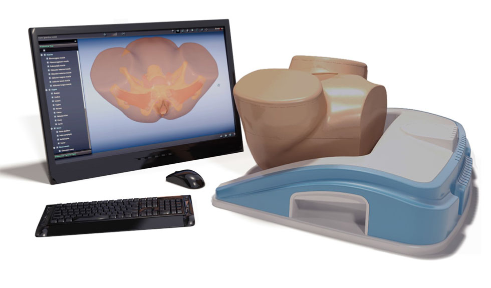 Training Models - OneWorld DMG